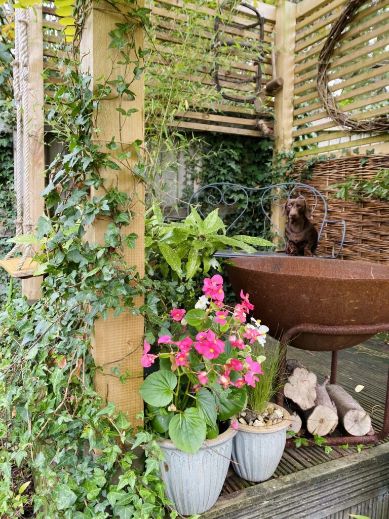 This Week's Guest Blogger is Kay Maynard who writes about her life and ...