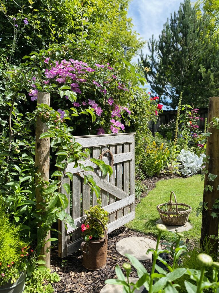 This Week's Guest Blogger is Kay Maynard who writes about her life and ...