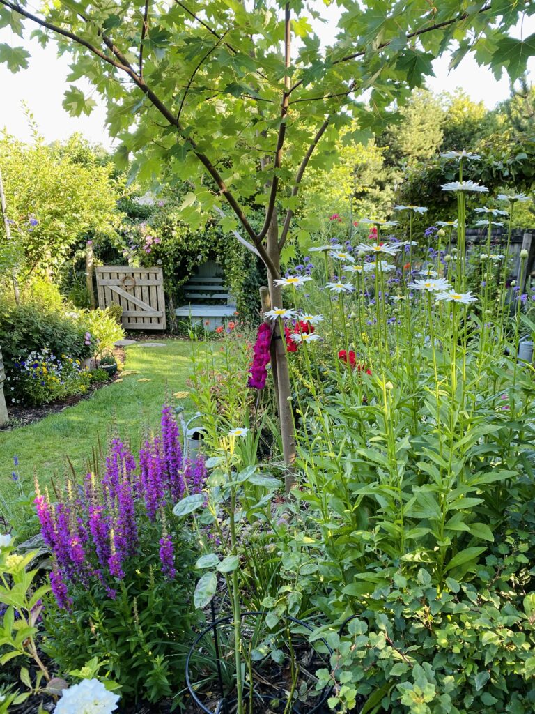 This Week's Guest Blogger is Kay Maynard who writes about her life and ...